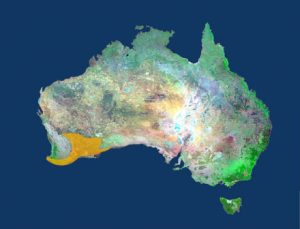 Why Gondwana Link? – Gondwana Link Ltd.